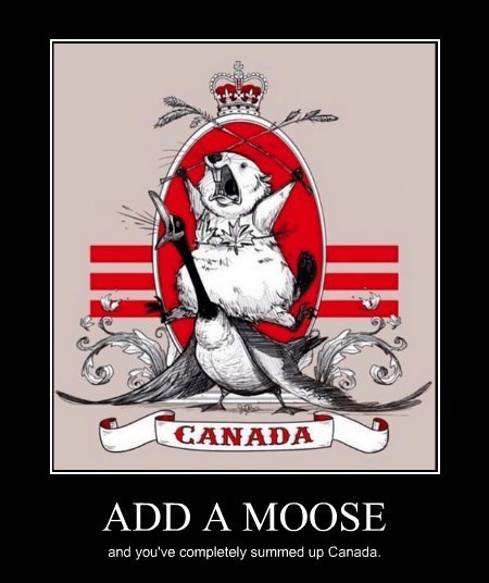 Canada Day Fun Facts – Happy Hub