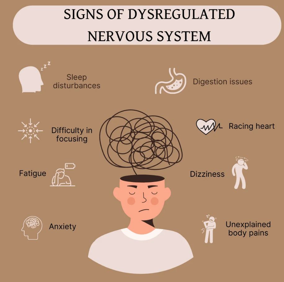 What is Nervous System Dysregulation? – Happy Hub